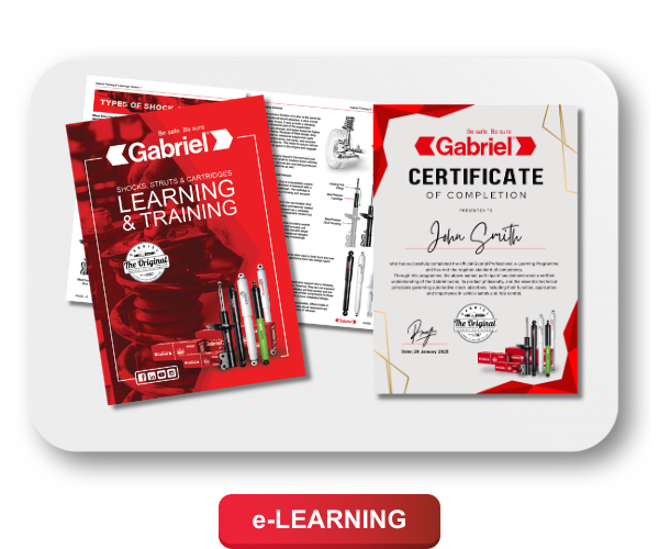 Gabriel | Be Safe Be Sure| Resources